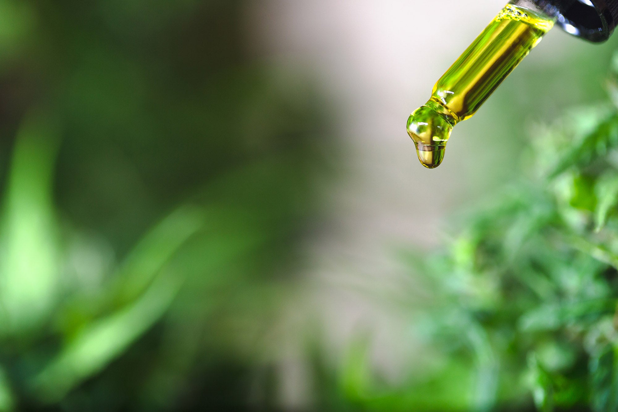 Is Your CBD Toxic? – Country Lane